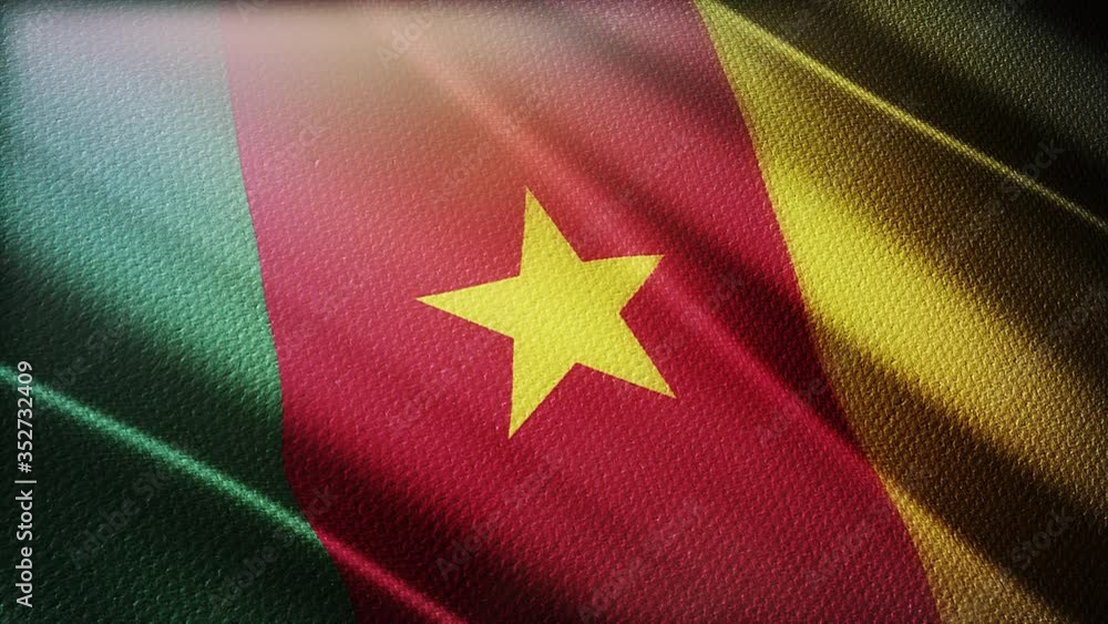 4k Cameroon National flag slow waving with visible wrinkles in ...