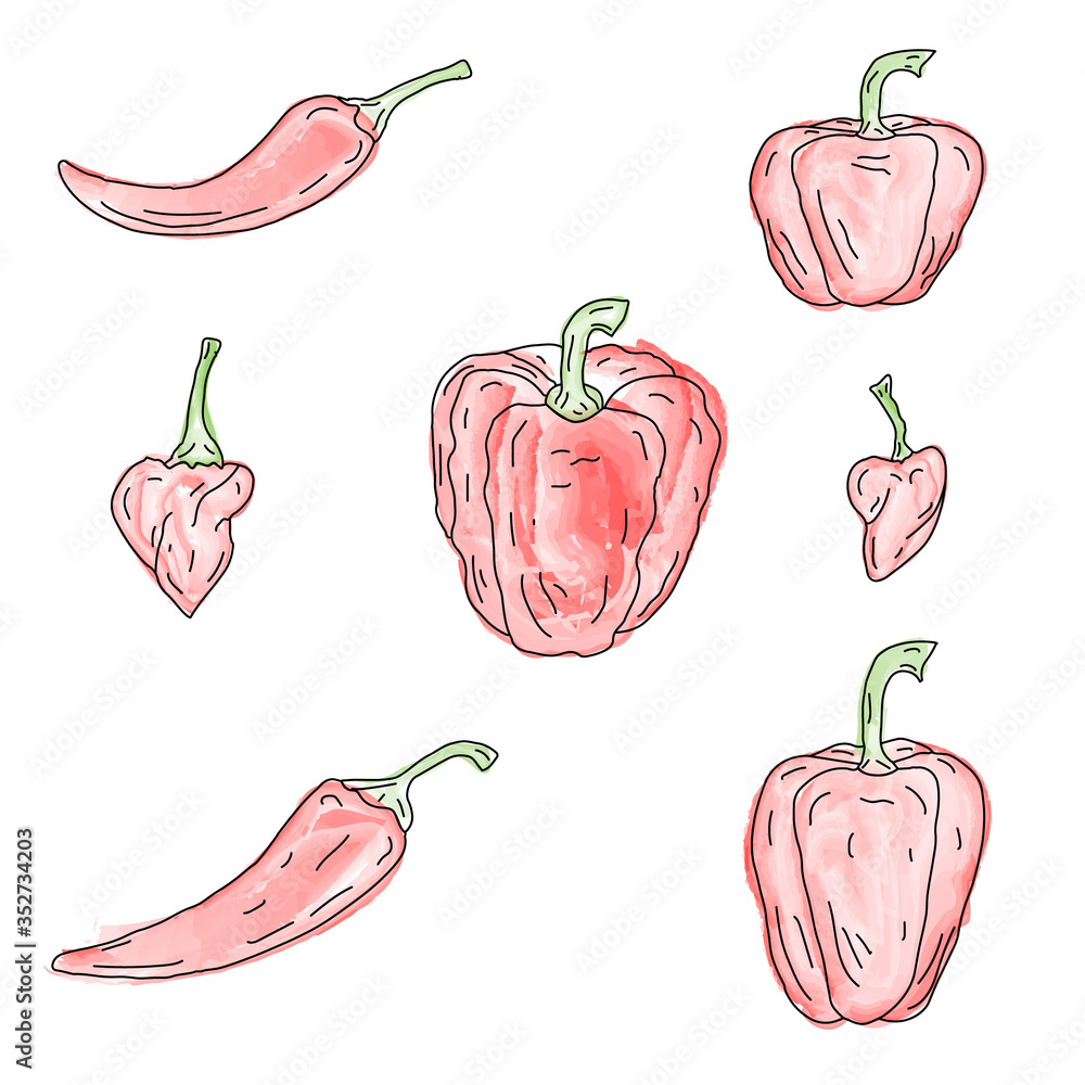vector red watercolor pepper drawing set. watercolor Vector ...