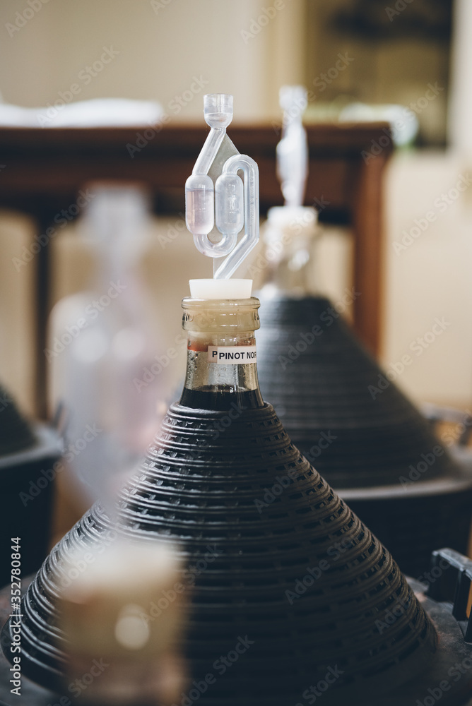 Pinot Noir Carboy jug and fermentation lock used in home winemaking ...