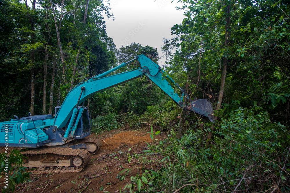 Deforestation. Logging. Excavator fells trees in rainforest to make way ...
