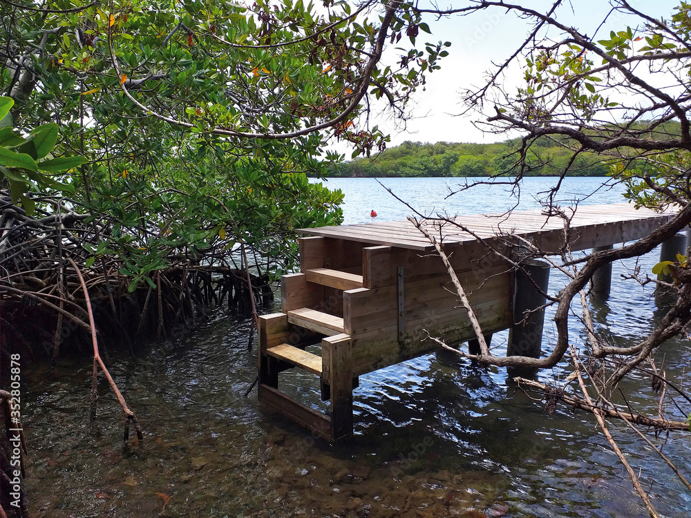 Side view of wooden pontoon with mangroves in the Caribbean sea ...