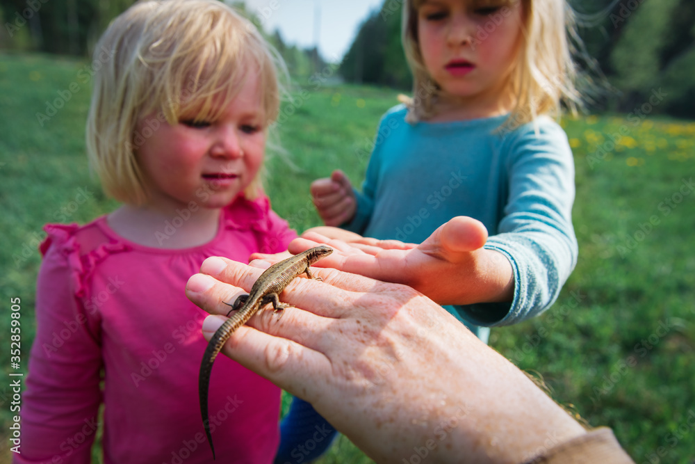 kids learning - kids looking at and exploring lizard in nature Stock ...