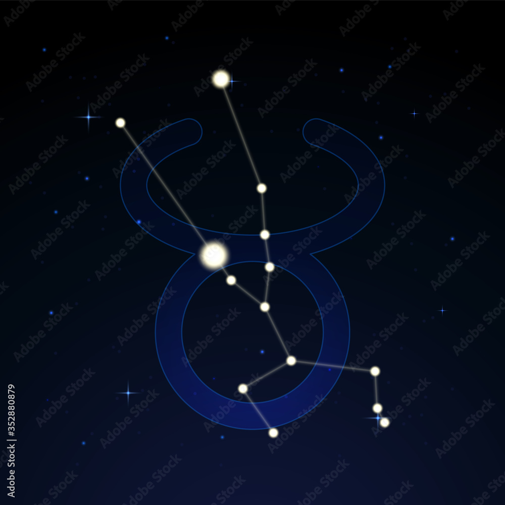 Taurus, the bull. Constellation and zodiac sign on the starry night sky ...