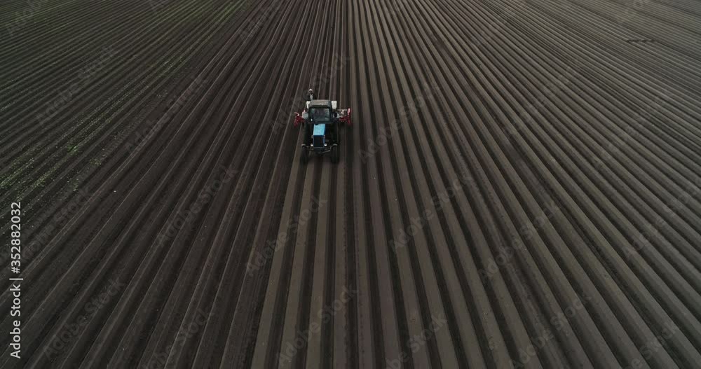 Agriculture, spring sown fields. A tractor with a trailer plants ...
