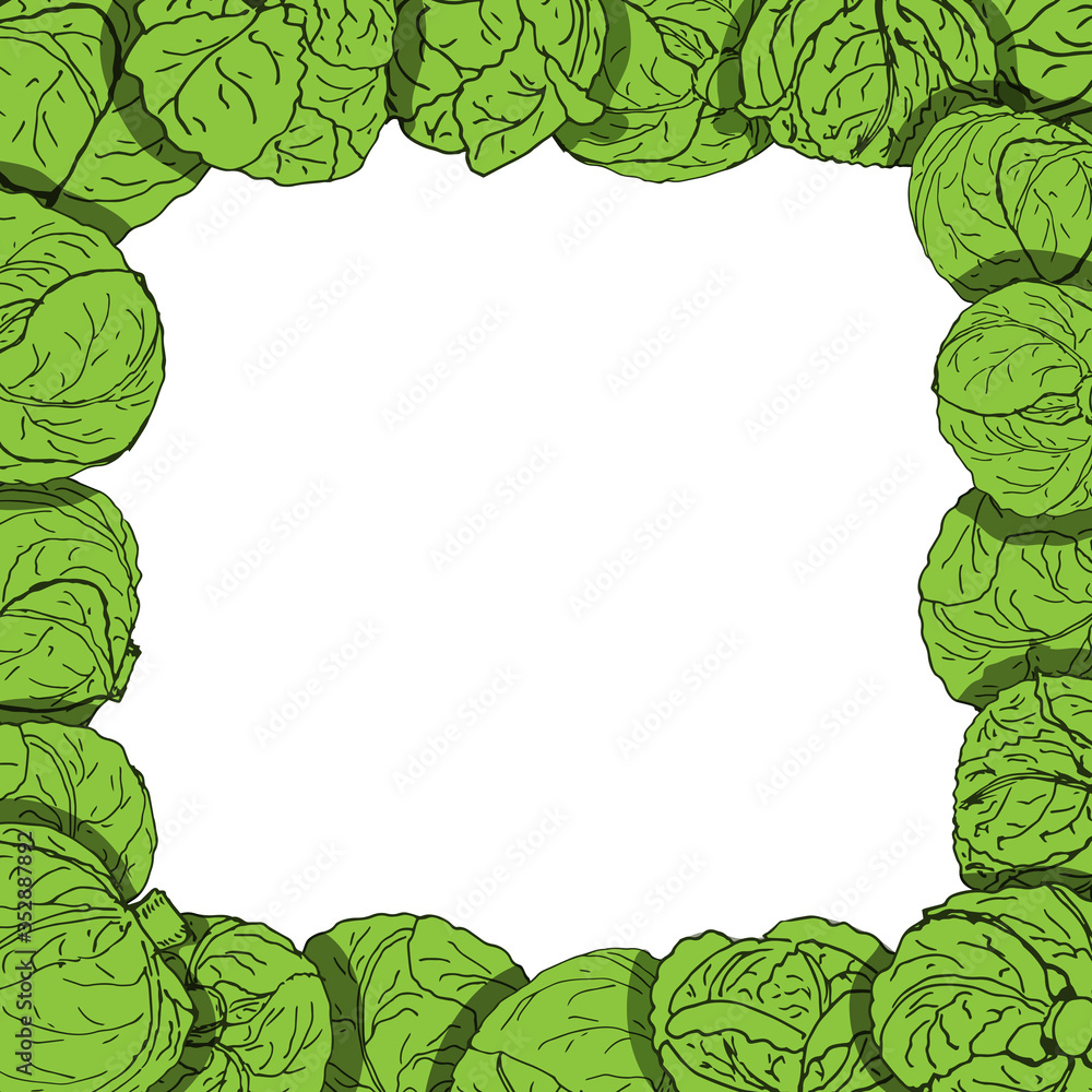 Frame of vegetables cabbage with copy-space. Vector illustration black ...