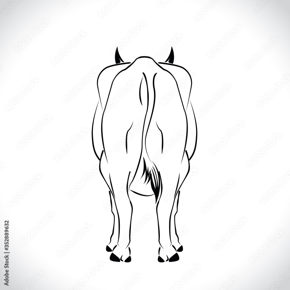 vector of an cow body design isolated on the white background. Cow body ...