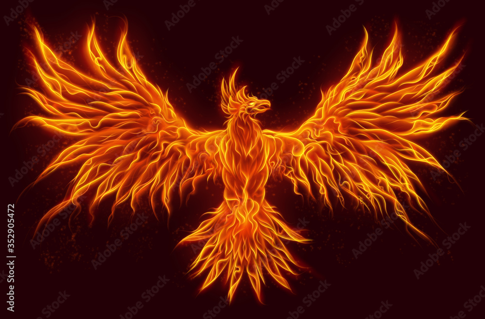 Fire bird Stock Illustration | Adobe Stock