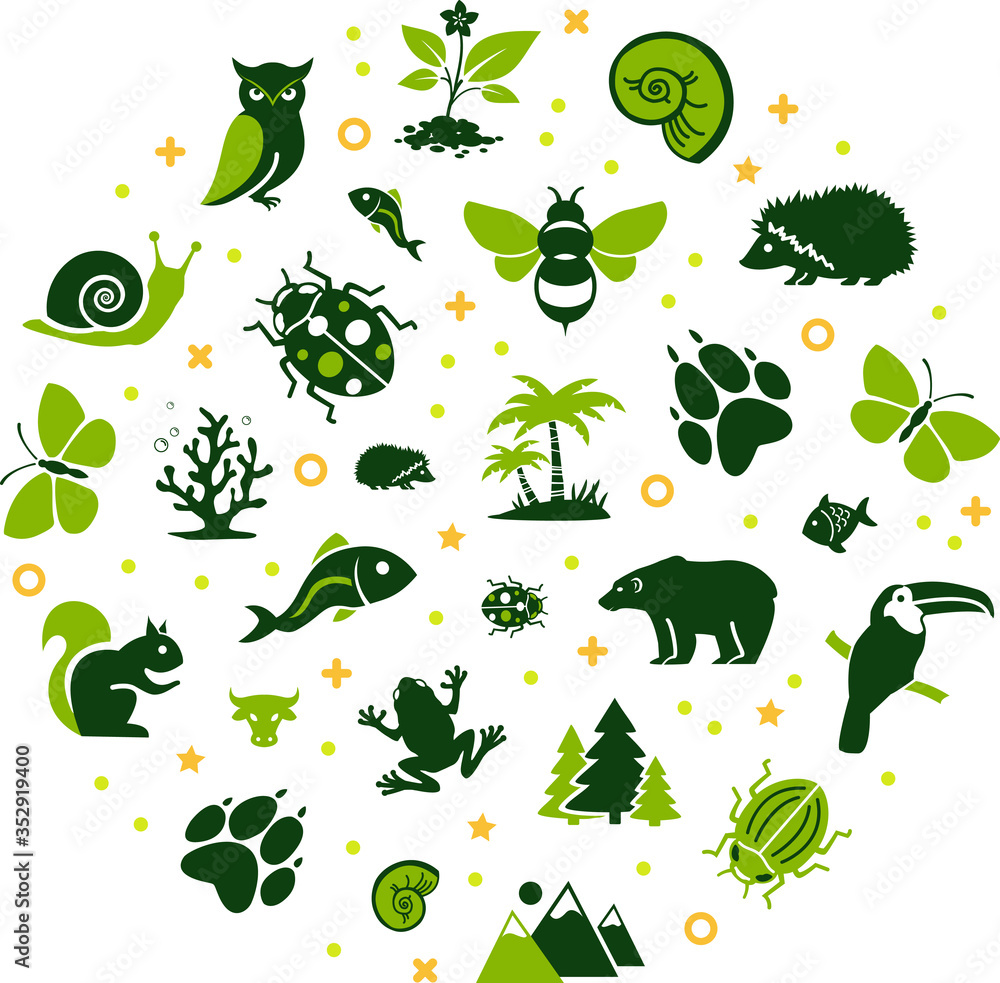 wildlife / biodiversity vector illustration. Concept with icons related ...