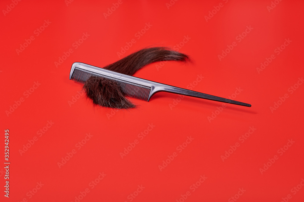 Hair in a comb on a red background. A clump of thick brown hair was ...