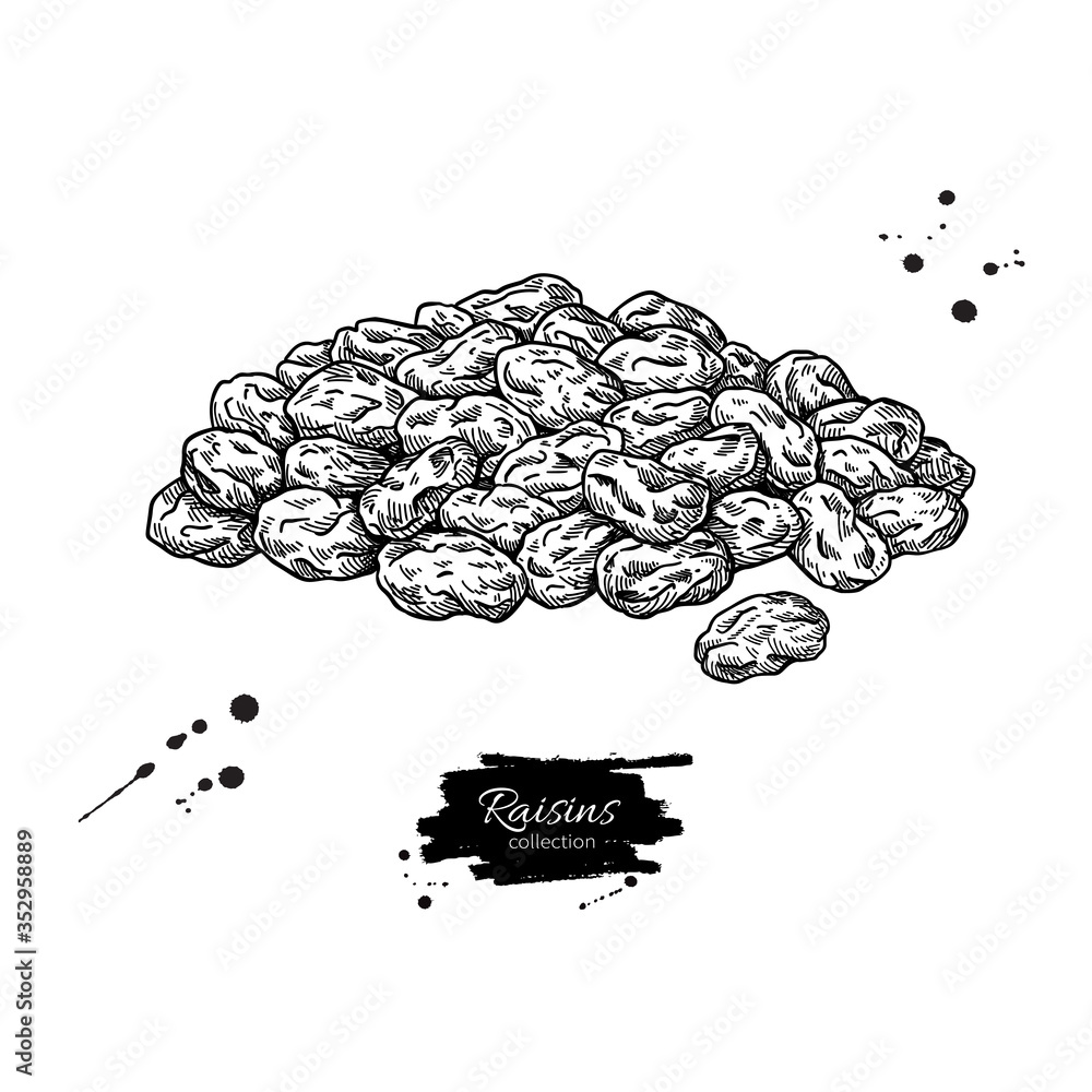 Raisins vector drawing. Dried grape heap. Hand drawn dehydrated fruit illustration. Stock Vector ...
