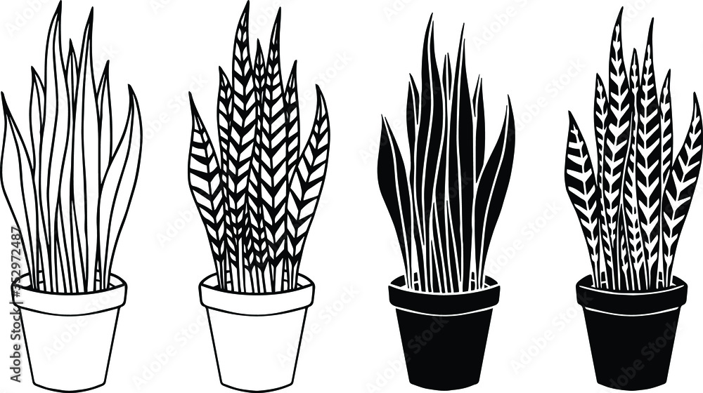 Snake Plant Line Drawing - Vector Illustration Stock Vector | Adobe Stock