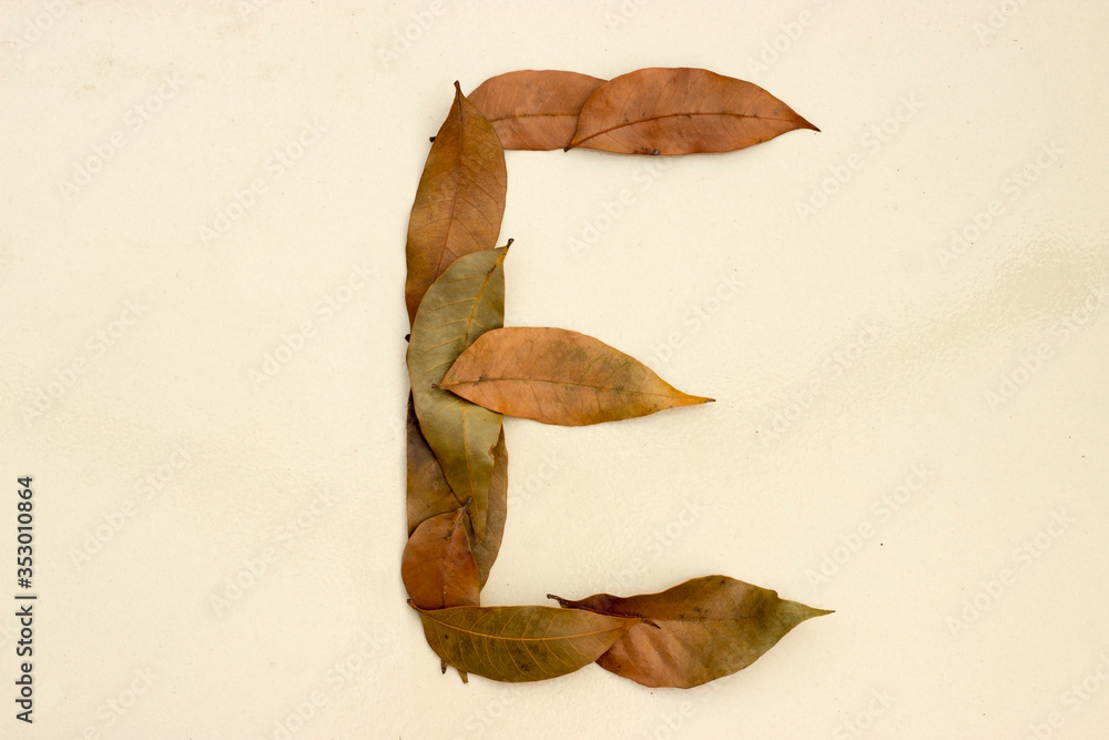 Autumn leaf letter E Background image. Natural forest leaf alphabet ...