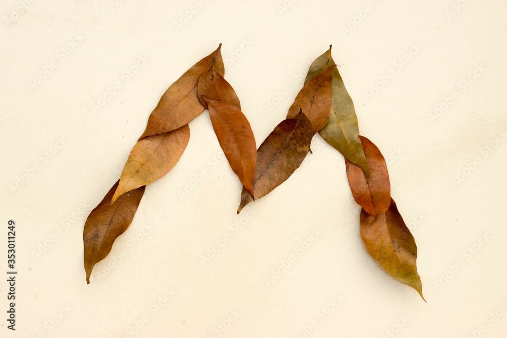 Autumn leaf letter M Background image. Natural forest leaf alphabet ...