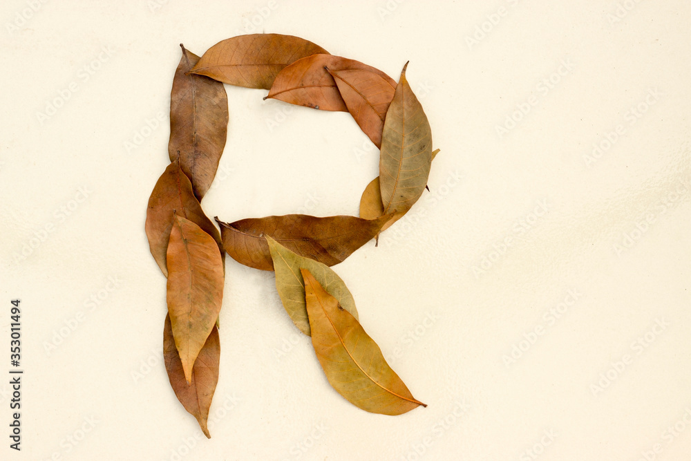Autumn leaf letter R Background image. Natural forest leaf alphabet ...