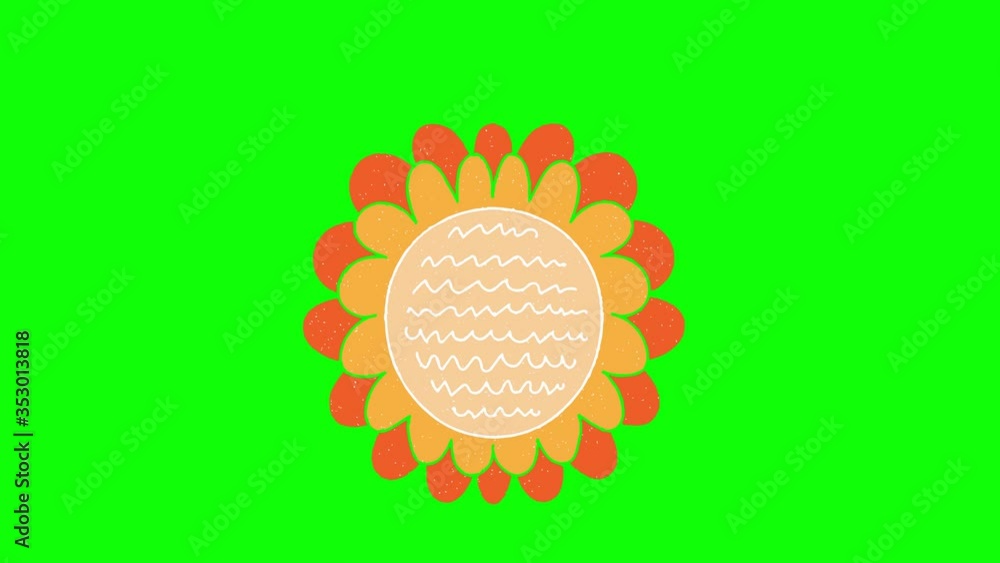 flower hand drawn animation green screen. explanatory icons for video ...