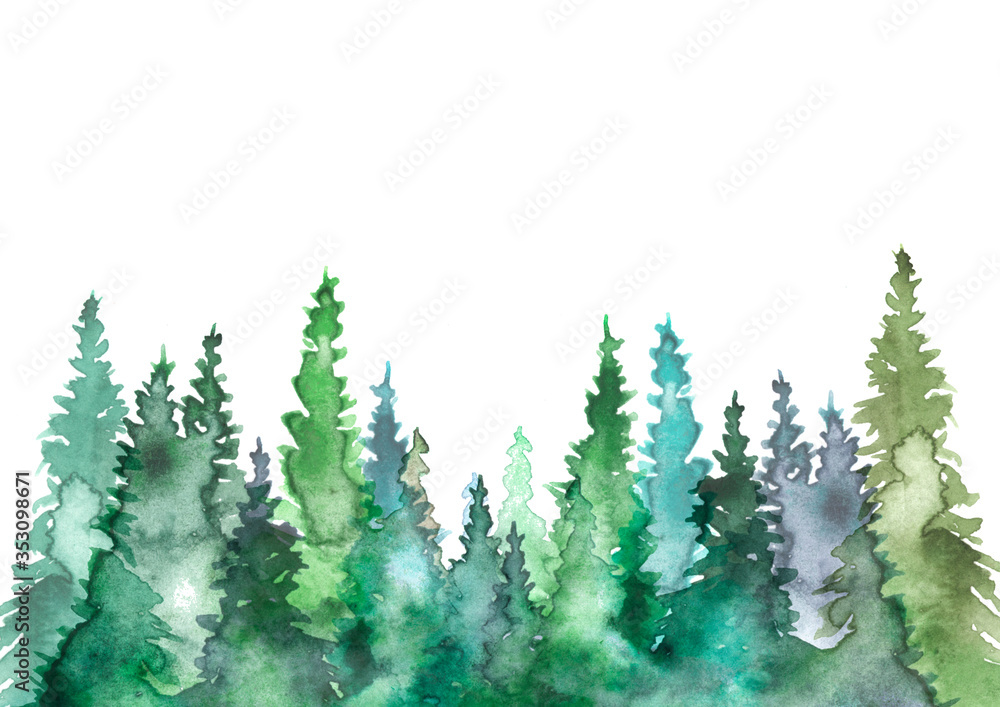Watercolor art illustration. Drawing of the blue forest, pine tree ...