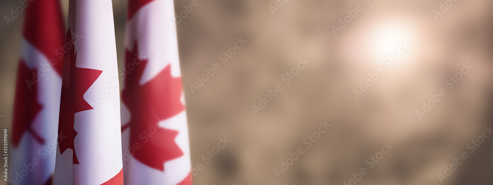 Canadian National Holiday. 1 July. Happy Canada Day greeting card ...