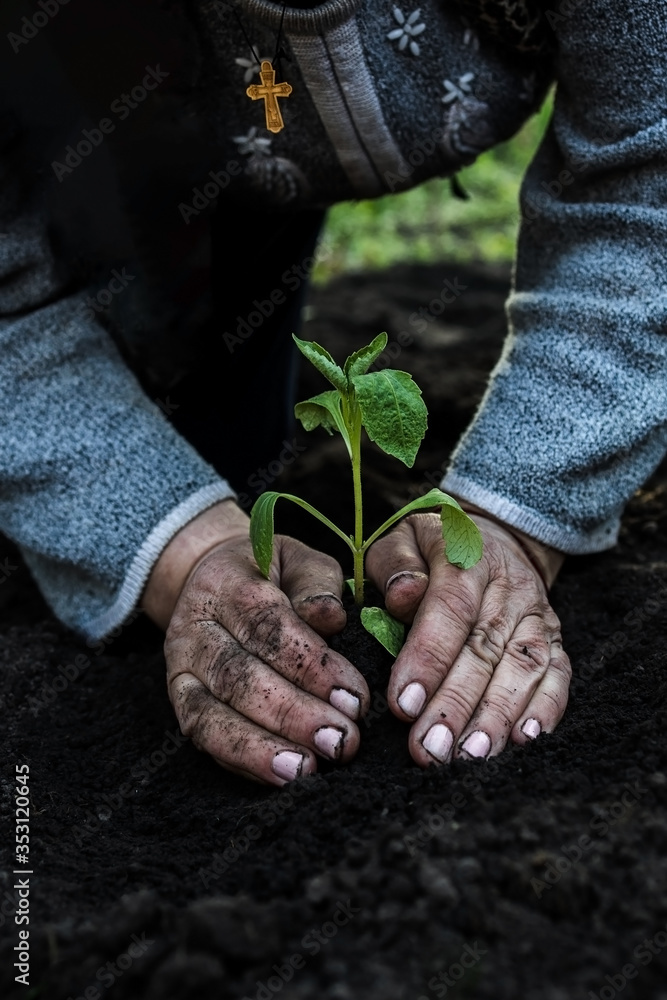 circumcised elderly women, with a religious Catholic-Christian cross ...