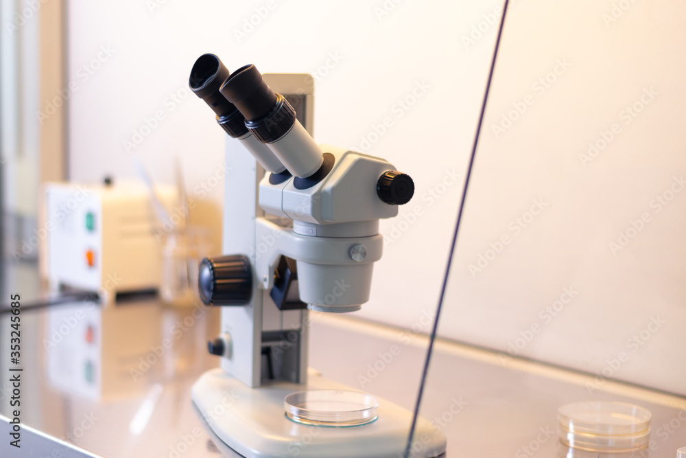 Stereo microscope inside a laminar flow cabinet used to tissue culture ...