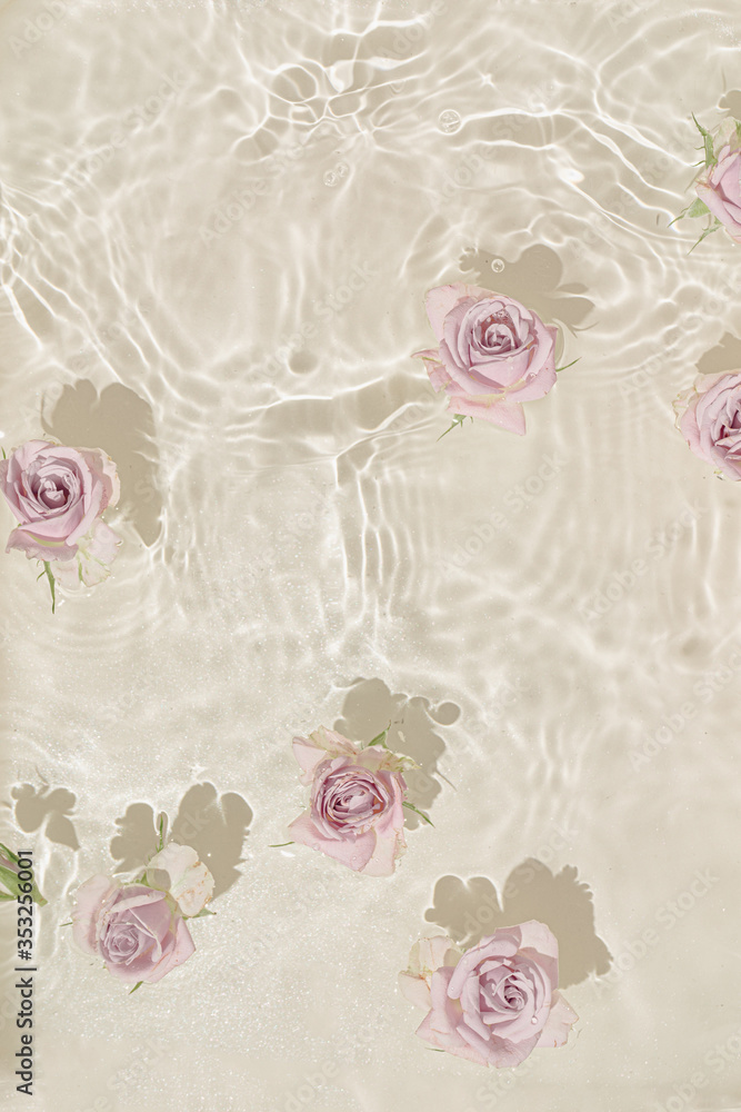 Summer scene with rose flowers in water. Sun and shadows. Minimal ...