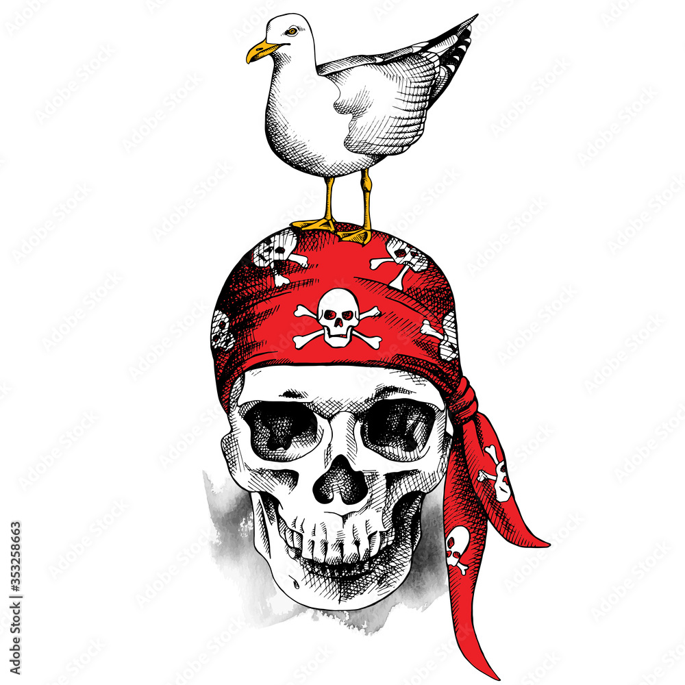 Skull in red pirate bandana and with seagull. Vector illustration ...