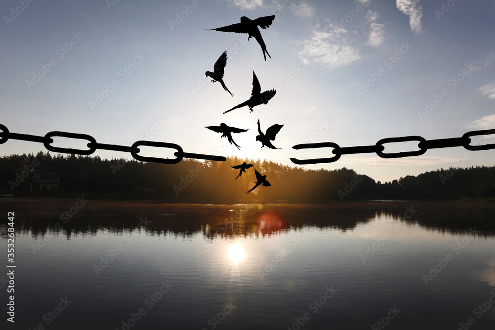 Freedom concept. Silhouettes of broken chain and birds flying outdoors ...