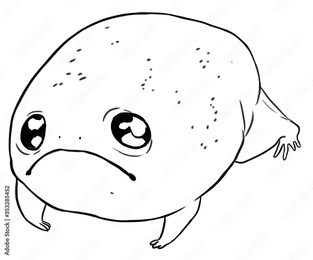 Lineart illustration of a black rain frog (Breviceps fuscus ...