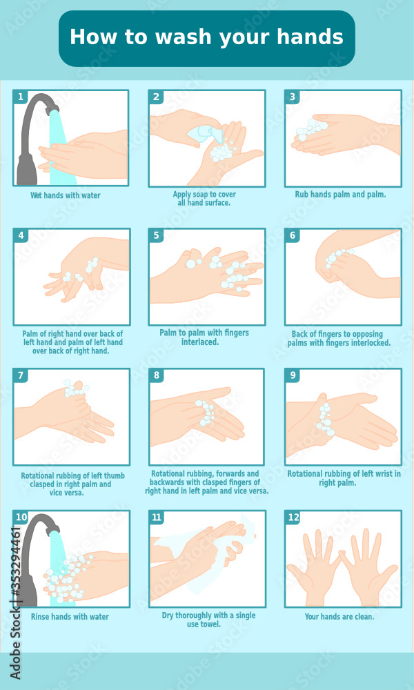 How to wash your hands properly step by step. Personal hygiene ...