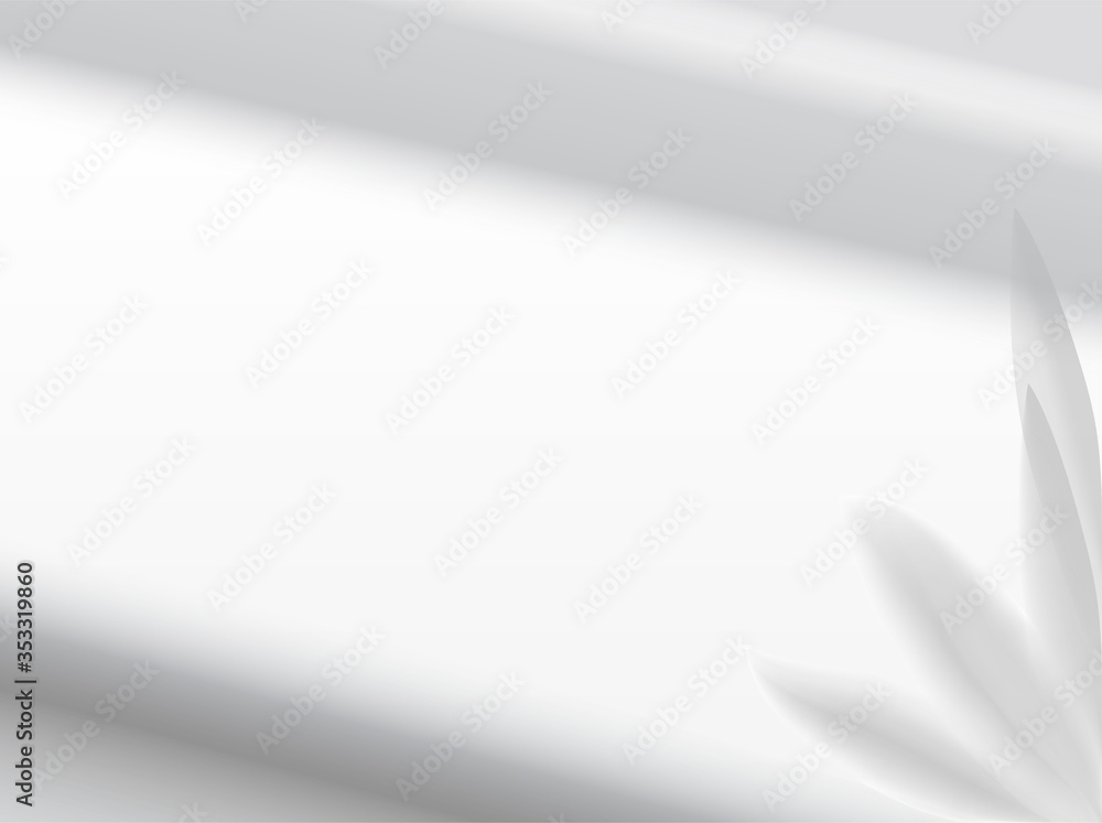 Shadow Overlays Mockups for presentations. Set with the effect of sun ...