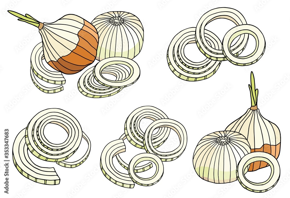 Colored onions vector illustration set. Hand drawn compositions with ...