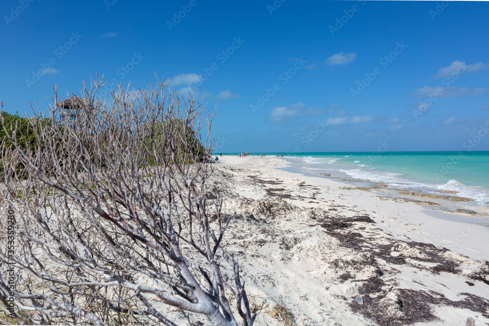Playa Pilar one of Cubas most beautiful beaches at Cayo Guillermo on ...