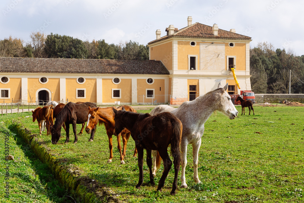 CARDITELLO, ITALY - The 18th century palace on the Royal Estate of ...