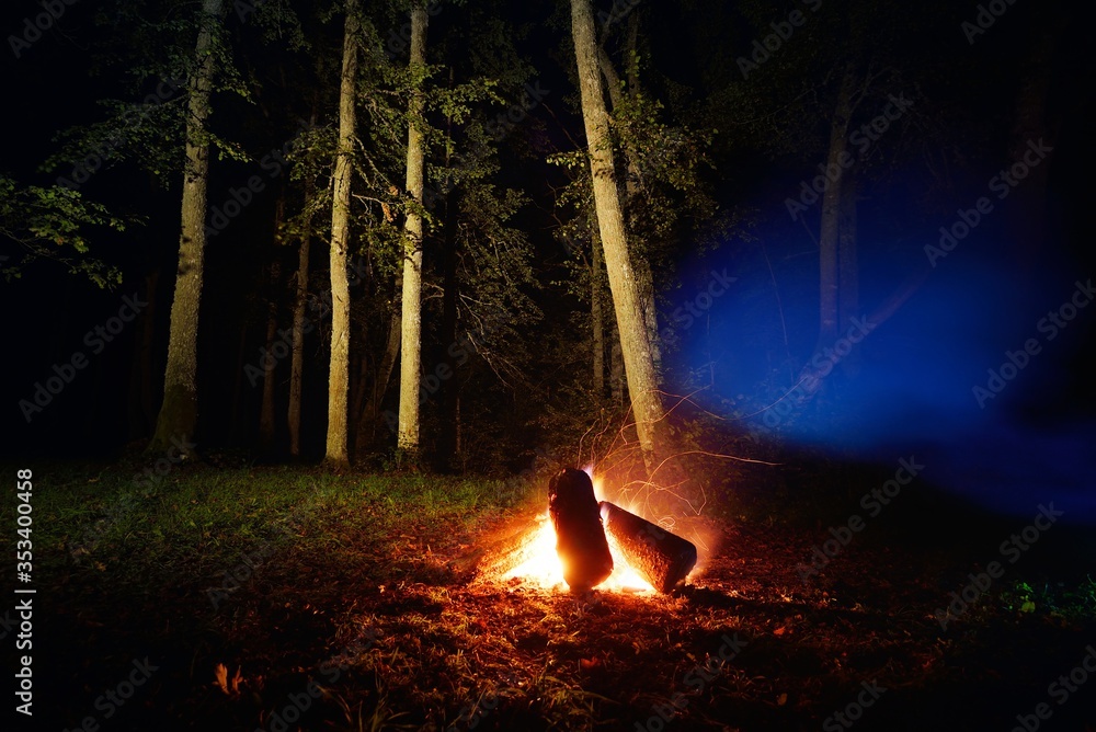 Bonfire in the mystical forest at night, tree silhouettes in the dark ...
