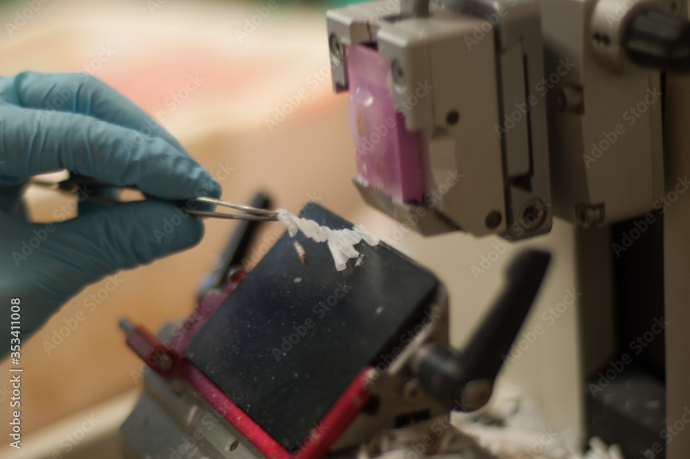 Foto de corte de micras en microtomo de laboratorio de anatomía ...