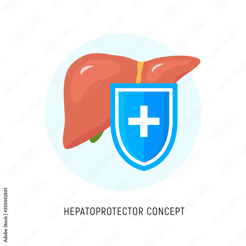 Hepatoprotector concept icon, healthy liver flat icon shield. Liver ...