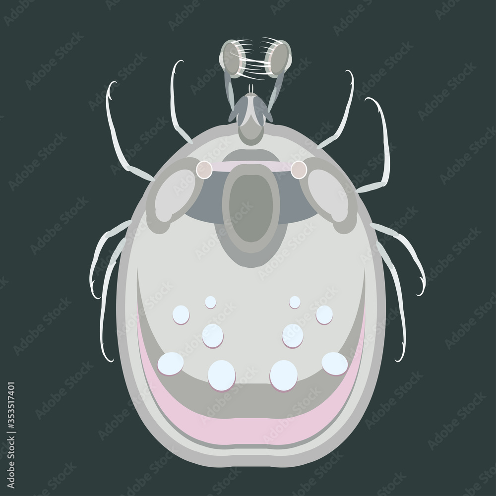 Mite insect a pest carrier of dangerous diseases for humans vector ...