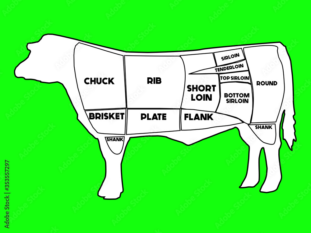 Draw of Cow showing American Primal Cuts of Beef and its subdivisions ...