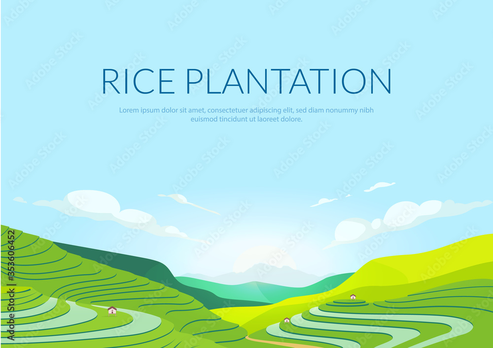 Terraced plantation poster flat vector template. Chinese rice fields ...