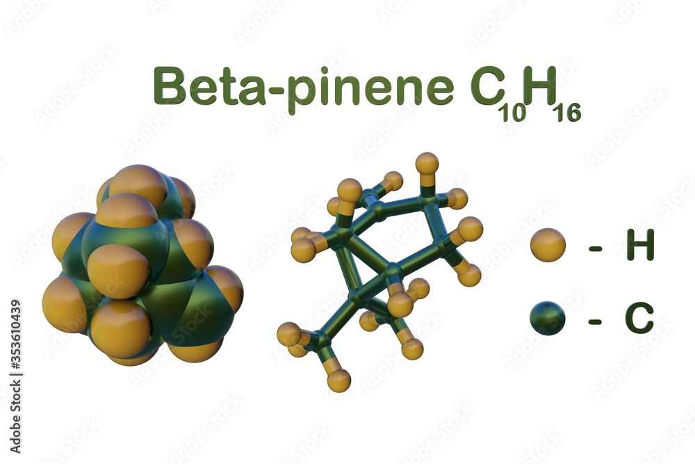 Structural chemical formula and molecular model of beta-pinene, an ...
