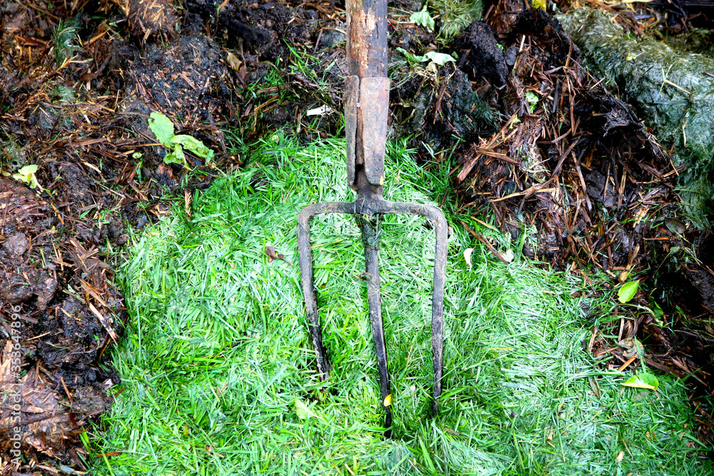Compost heap. Rotted brown mass and green grass waste. Pitchfork tools ...