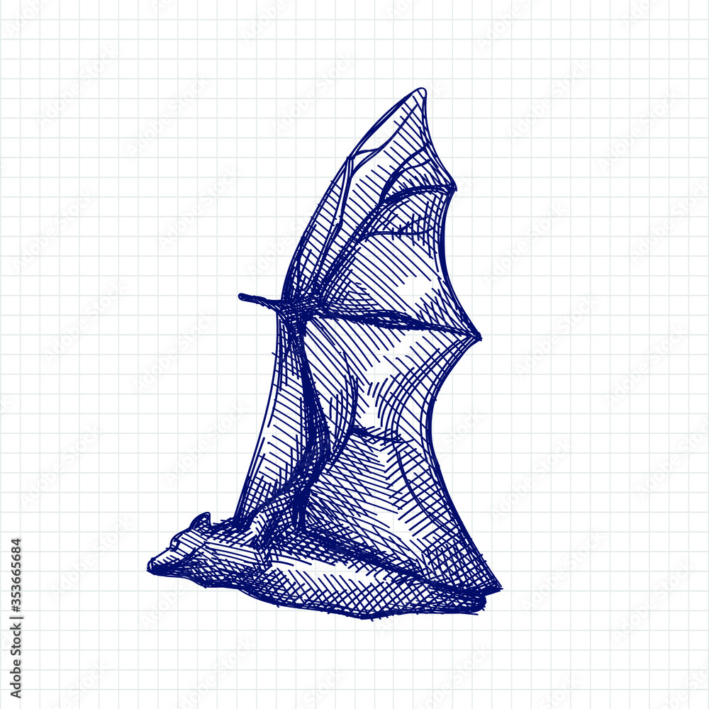 Hand-drawn sketch of a bat while flying. Flying bat. Bat opening its ...