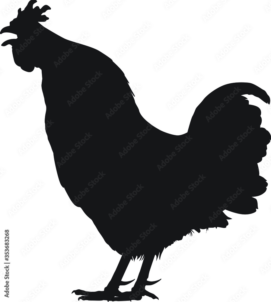 Crowing Rooster Silhouette