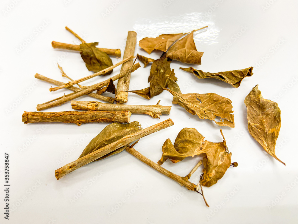 Henna, Alcana, Cypress shrub, Egyptian Rrivet, Henna Tree, Inai, Kok ...