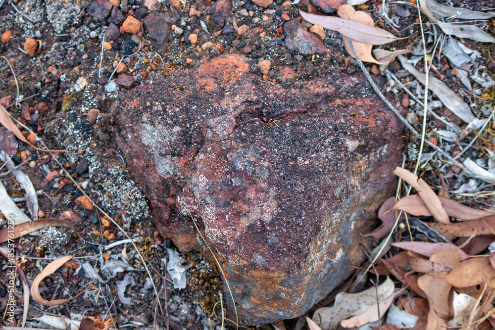 Beautiful laterite rock found in the bush in Balingup, Western ...