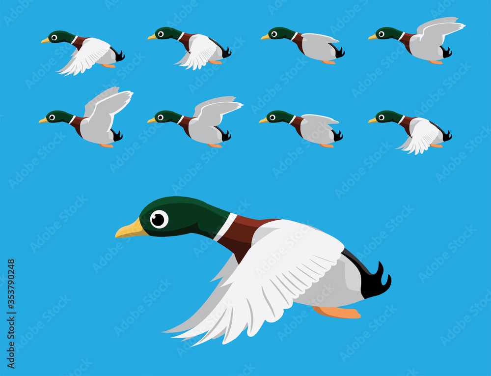 Flying Duck Animated