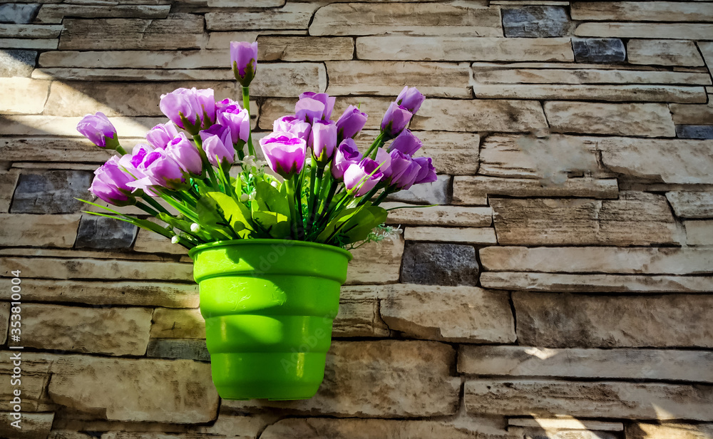violet flowers in a green flower pot attached to the stone cladding ...