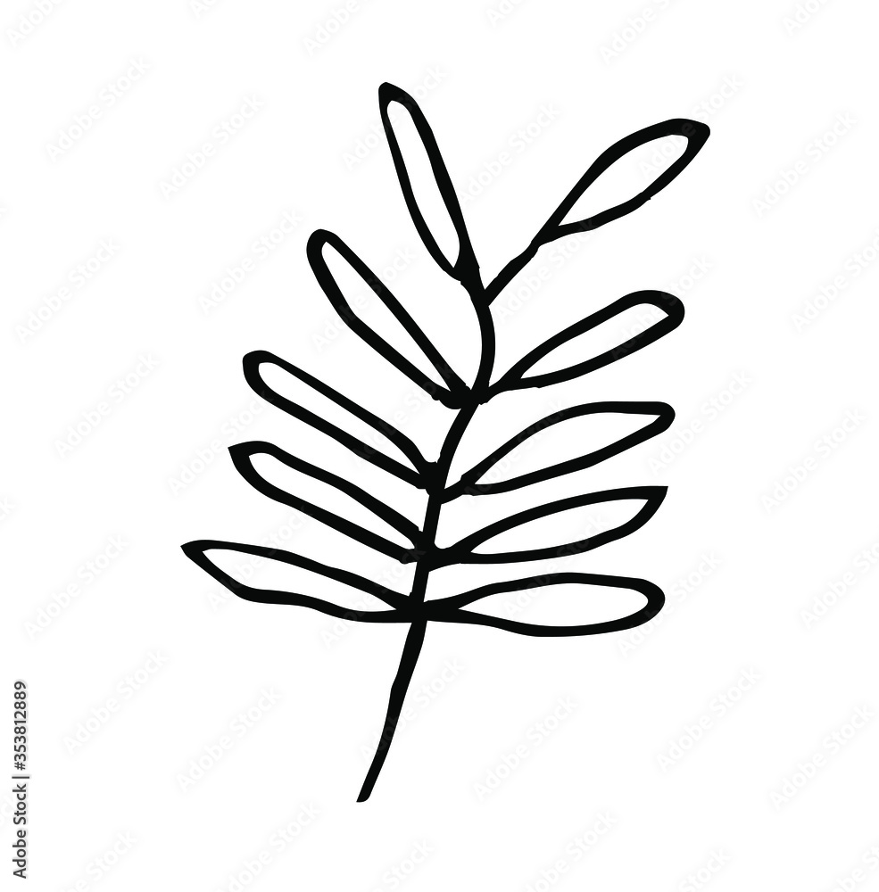 Single hand-drawn branches with leaves for decorating cards ...