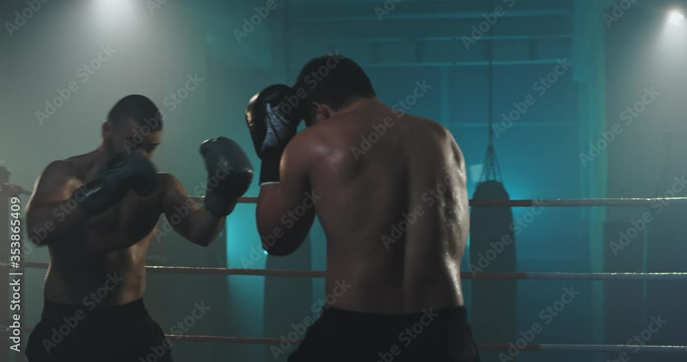 Musculars young Caucasian men fighters of box at ring. Male boxers ...