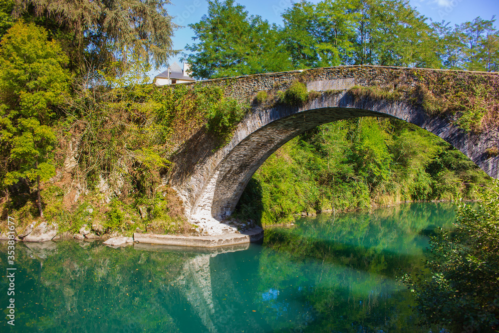 Medieval bridge with moss over the river in France. Old roman bridge in ...