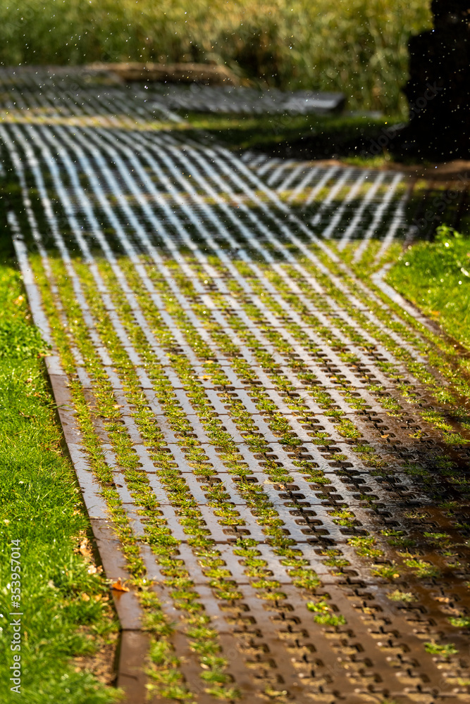 street paving slabs, wet stone and grass walkway, ecological path in ...